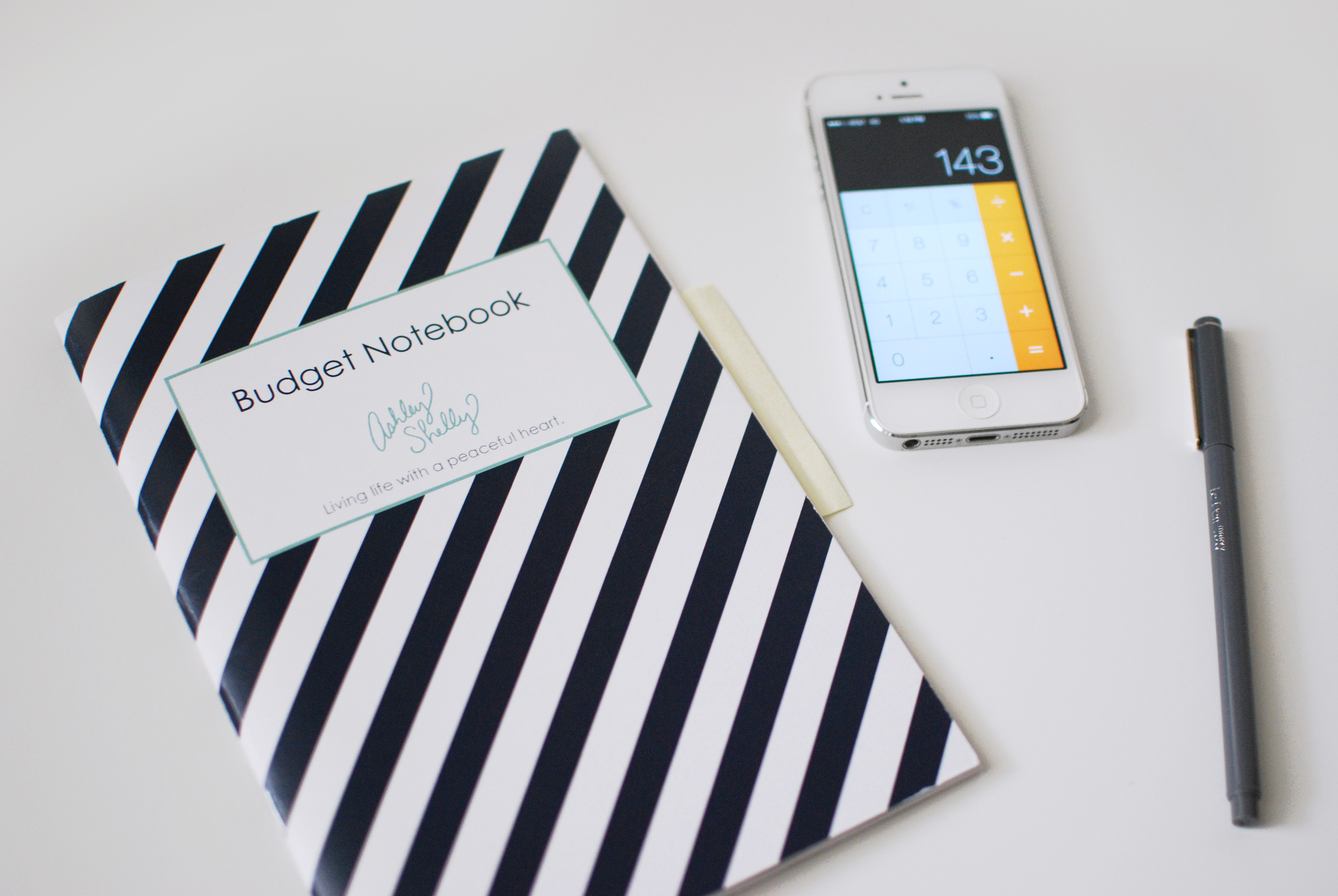 Using Your Budget Notebook Ashley Shelly Using Your Budget Notebook Ashley Shelly